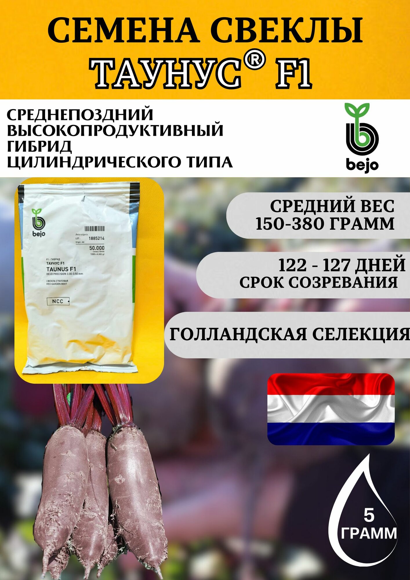 Семена свеклы Таунус F1 Bejo 5 грамм, професииональные семена