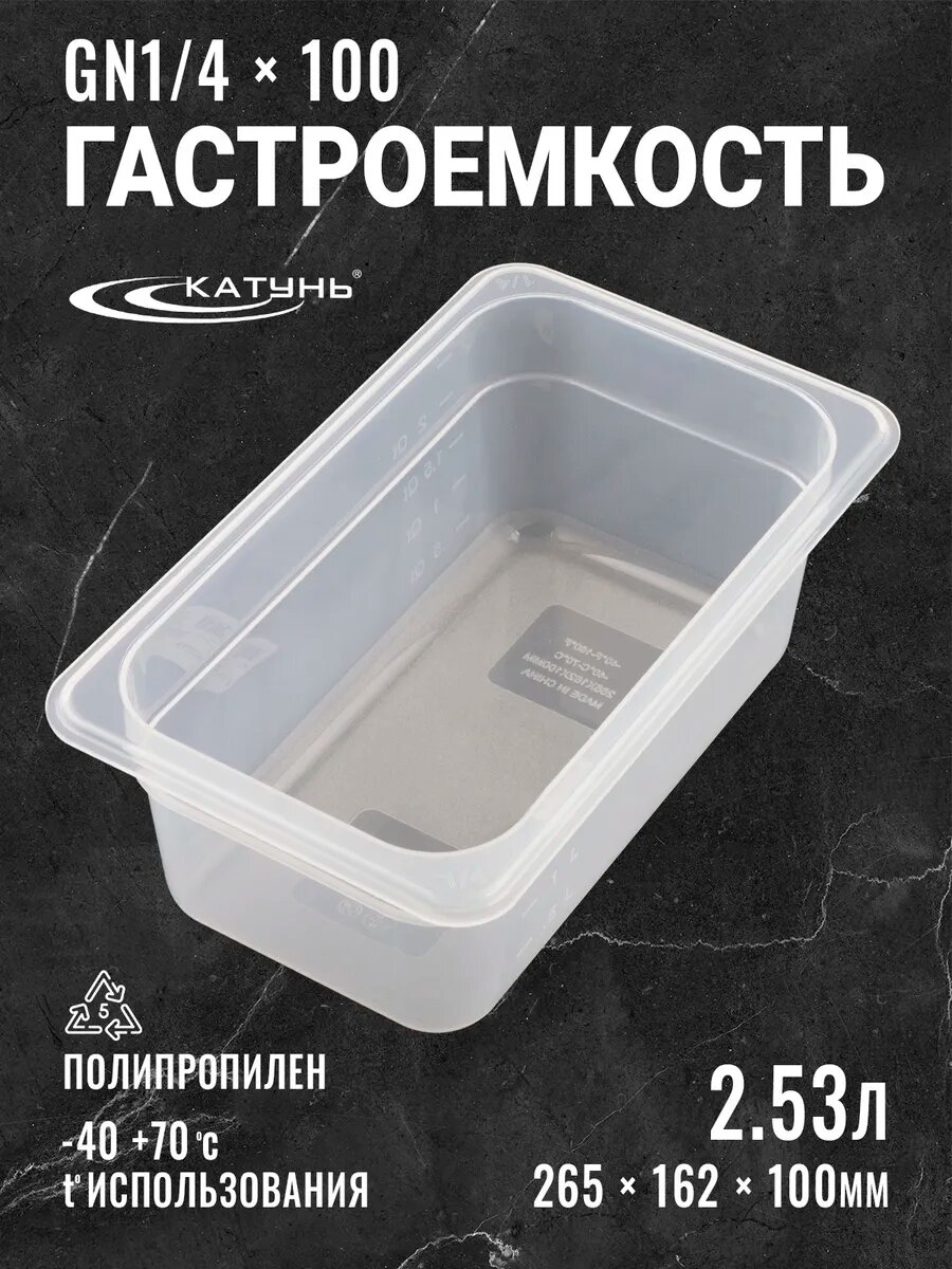 Гастроемкость Катунь 2.53 л GN 1/4*100, пищевой полипропилен, 162х265х100 мм