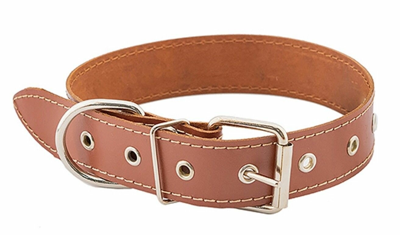 HOMEPET Ошейник для собак кожаный, простой, простроченный, коричневый 49 - 61 см, 35 мм