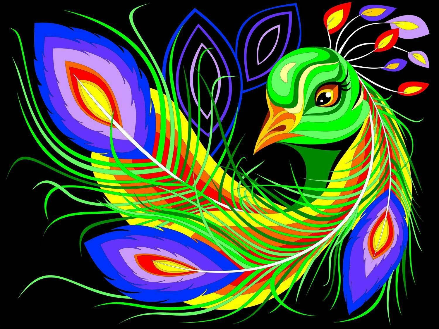 LORI Картина по номерам Павлин