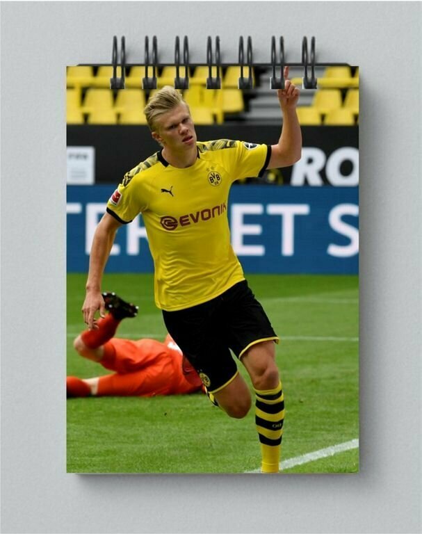 Блокнот Эрлинг Холанн, Erling Haaland №5