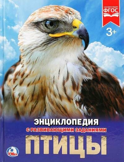ЭнцСРазвивЗаданиями(Умка)(тв)(б/ф) Птицы (Волцит П.)