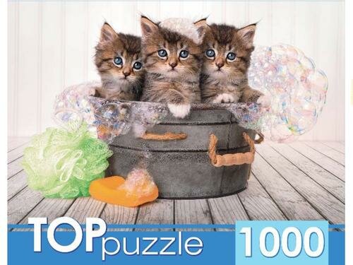TOPpuzzle. Пазлы 1000 элементов. ШТТП1000-7182 Три голубоглазых котёнка