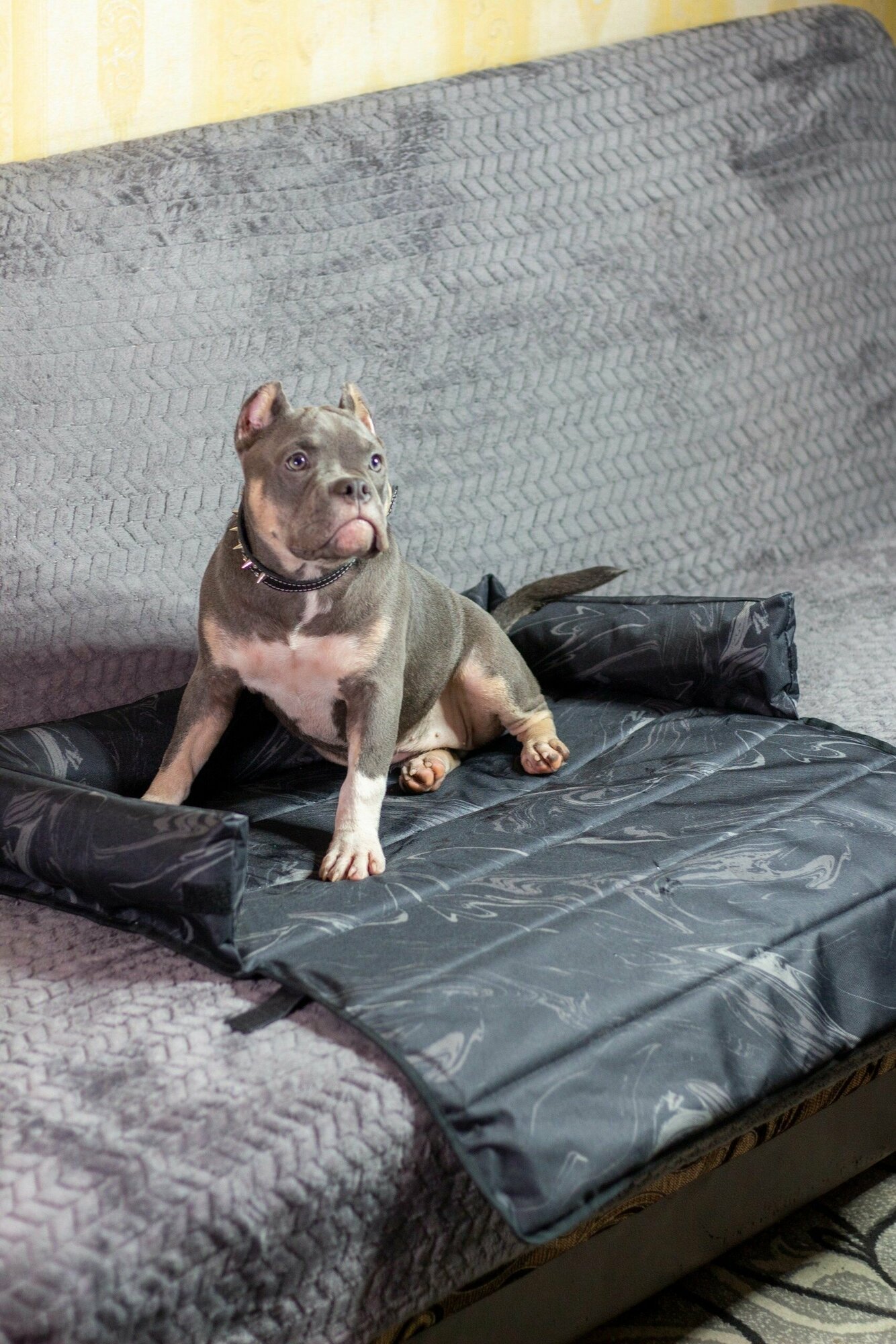 Лежанка для животных