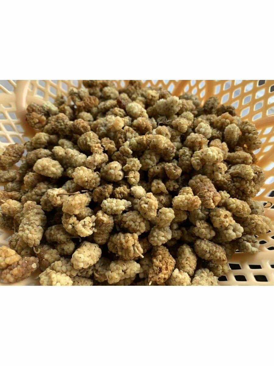 Лакомство для шиншилл, хомяков, морских свинок, дегу, крыс, песчанок и птиц ChinZoo шелковица 100 гр.