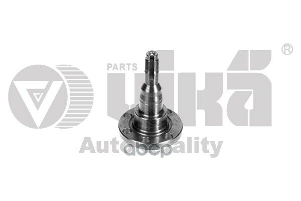 Цапфа ступицы задней L/R AUDI 80/90, VW Golf 1/2/3/Jetta/Vento/Polo/Passat 72-01 Vika арт. 55010033901