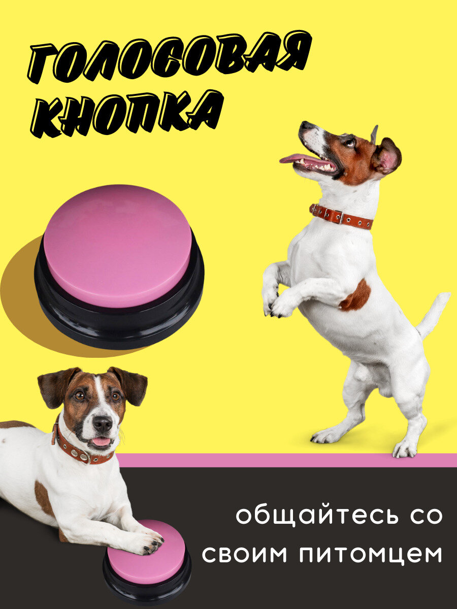 Голосовая кнопка для дрессировки собак и кошек с записью, интерактивная обучающая кнопка для животных, розовая