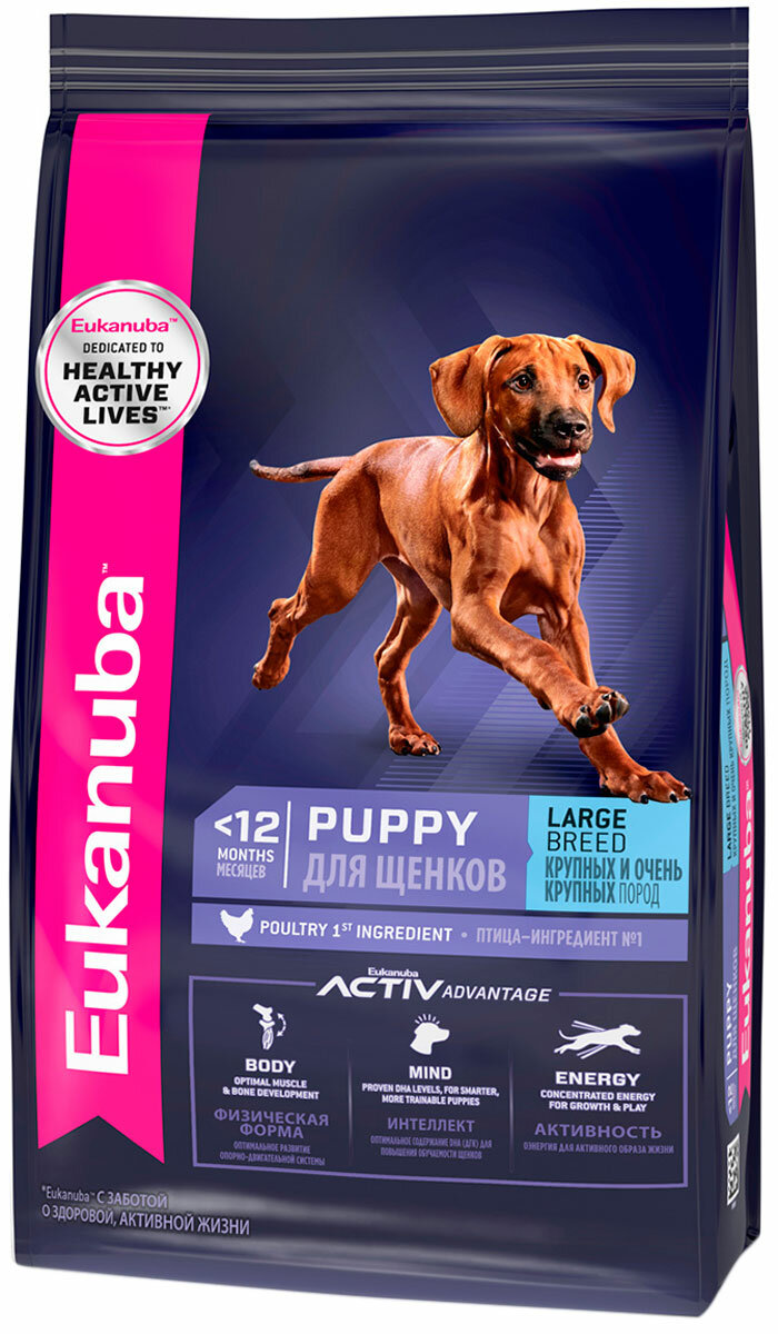 EUKANUBA PUPPY & JUNIOR LARGE BREED для щенков крупных пород (15 кг)