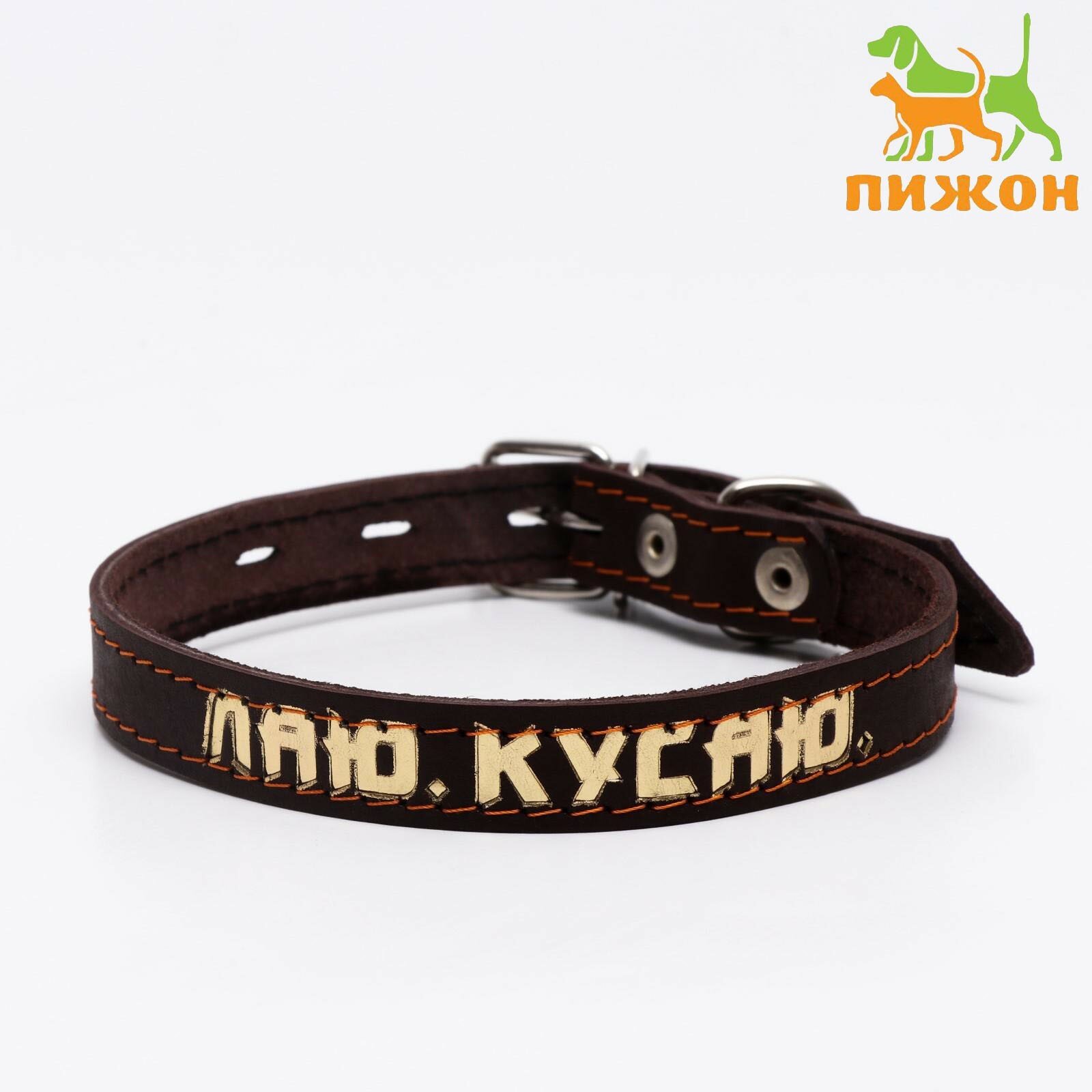 Ошейник кожаный однослойный, тиснёный «Лаю. Кусаю», 48х2, ОШ 32-43 см, коричневый с золотом, 7152736