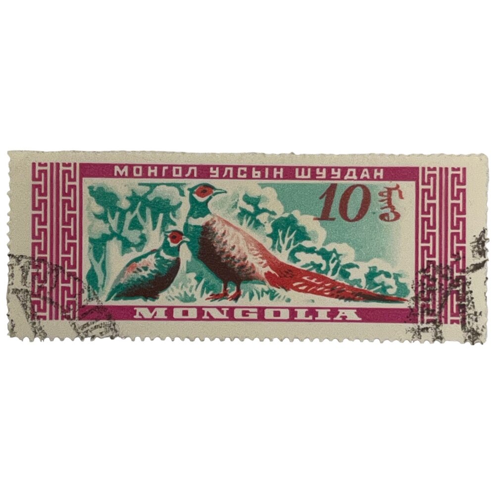 Почтовая марка Монголия 10 мунгу 1959 г. Кольчатый фазан. Стандарт. марки: Монгольская дикая природа(2)