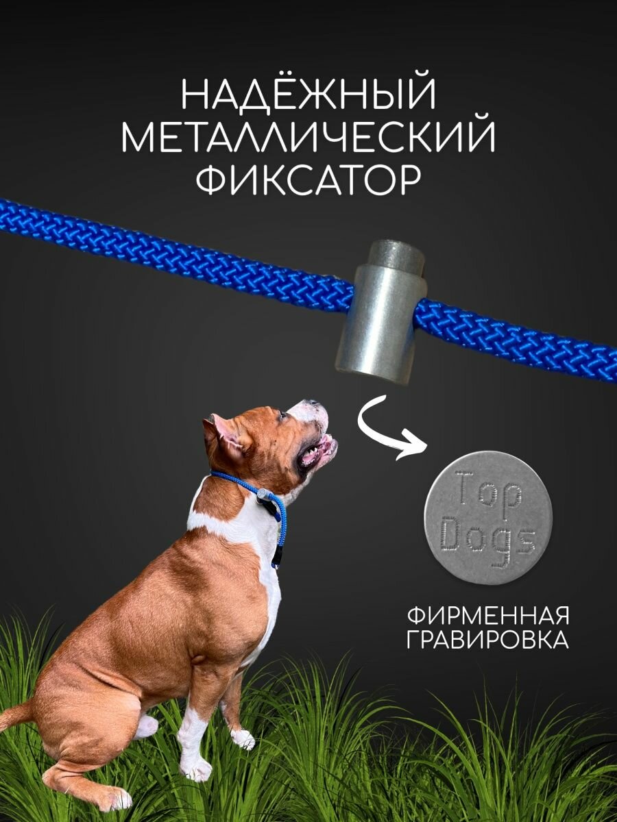 Ошейник-контроллер Top Dogs, для собак, металлический фиксатор, S, синий, 8мм — фото 1