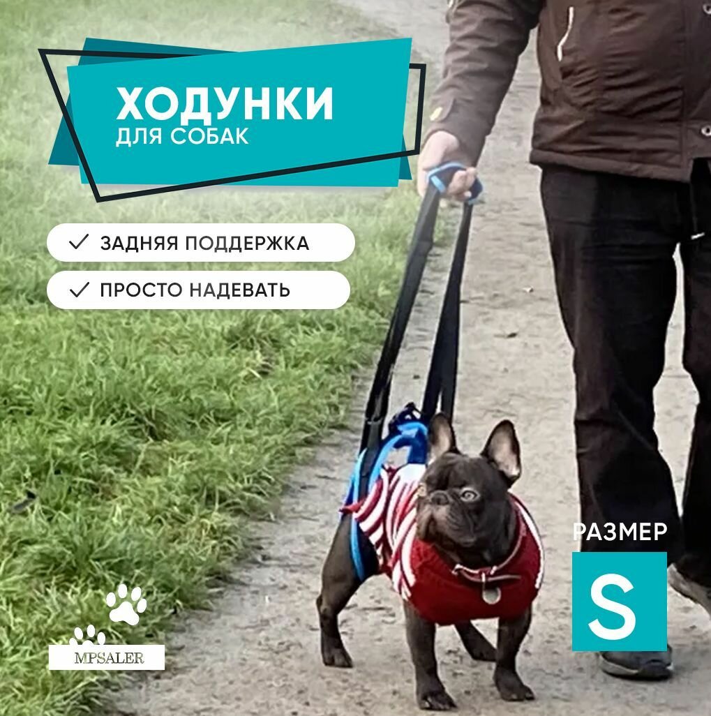 Ходунки для собак, поддержка задних лап пожилых и травмированных собак. Размер S.