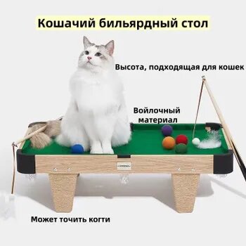 Кошачий бильярдный стол