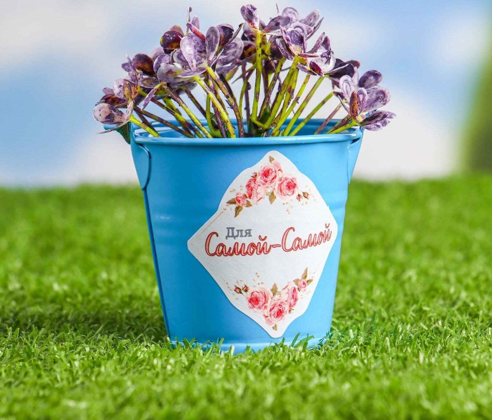 Кашпо-ведерко Для самой-самой 6х6х6см