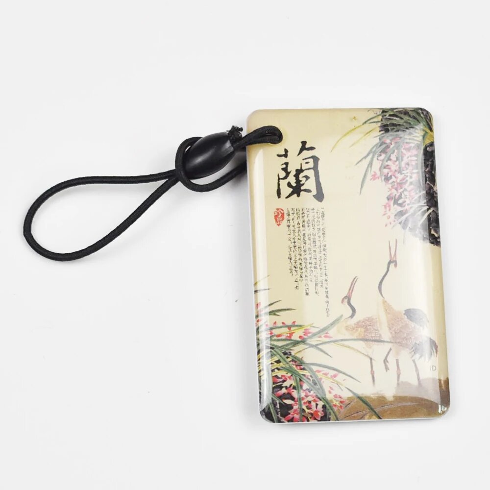 RFID метки zhizaibide LH-IDRWEPT-1 для контроля доступа NO.12