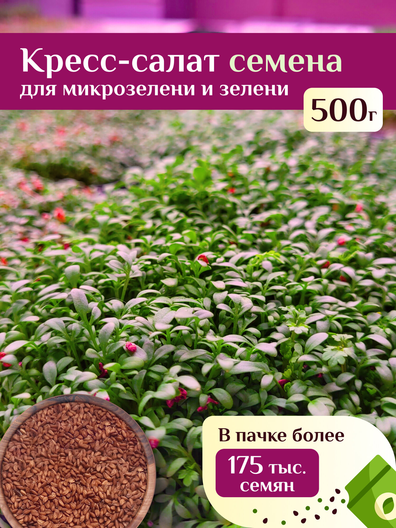 Кресс-салат семена для проращивания, Ильинские проростки 500г