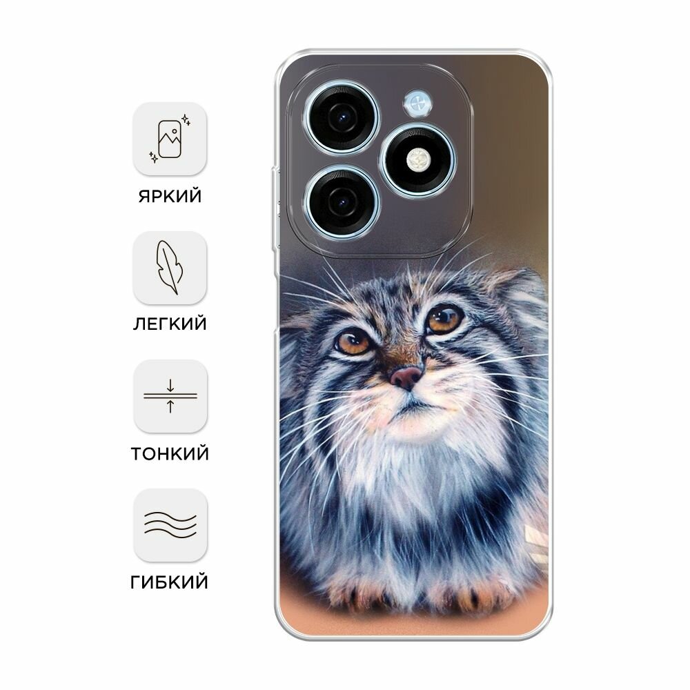 Чехол на Tecno Spark 20 / Текно Спарк 20 с принтом "Кот манул 2" — фото 1