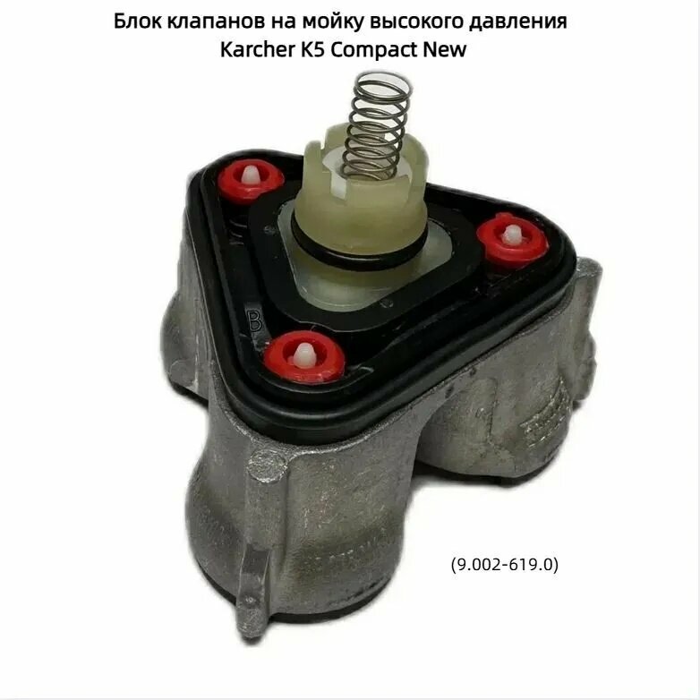 Головка блока цилиндров в сборе Karcher T-Pump (9.002-619.0)