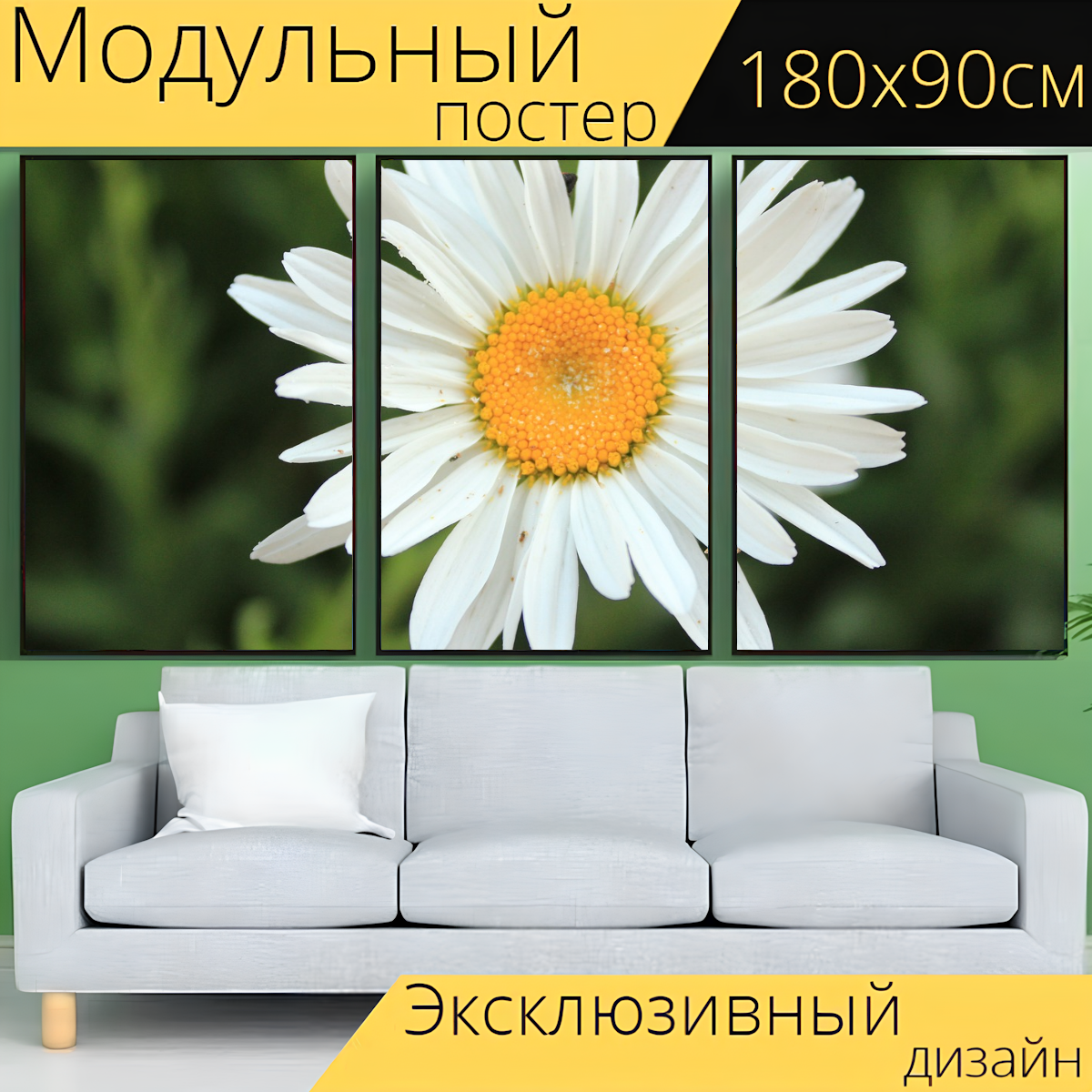 Модульный постер "Дейзи, ромашка chamomilla, цветок" 180 x 90 см. для интерьера на стену в тубусе