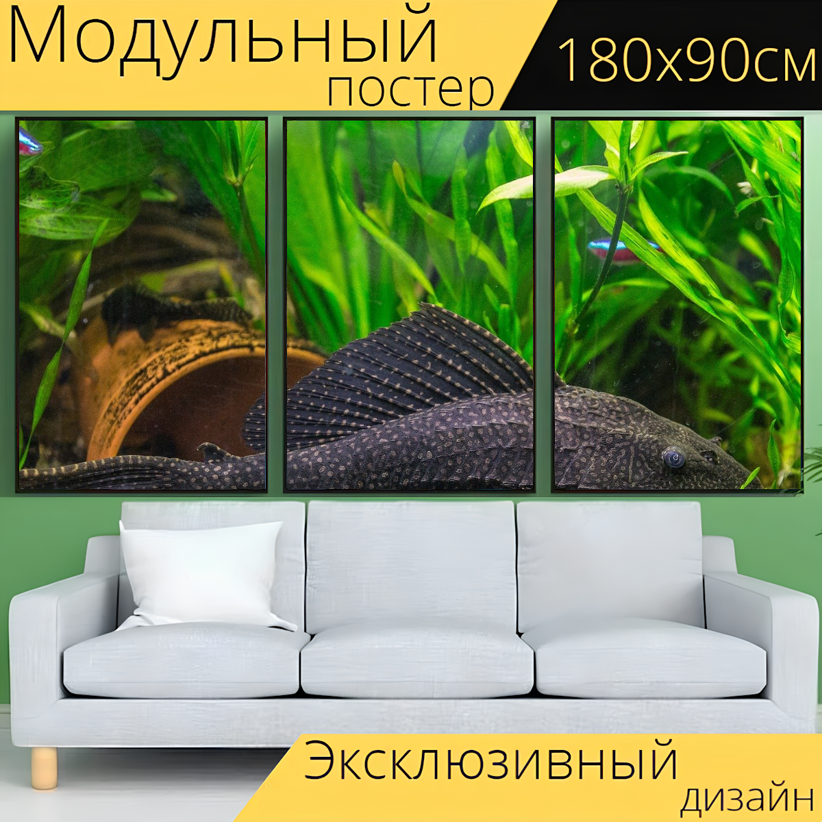 Модульный постер "Рыбы, аквариум, сом" 180 x 90 см. для интерьера на стену в тубусе