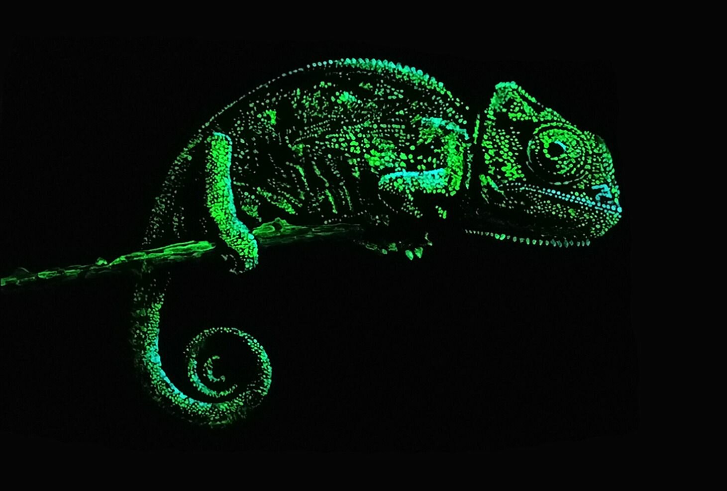 Картина со светящимся в темноте эффектом "Хамелеон"