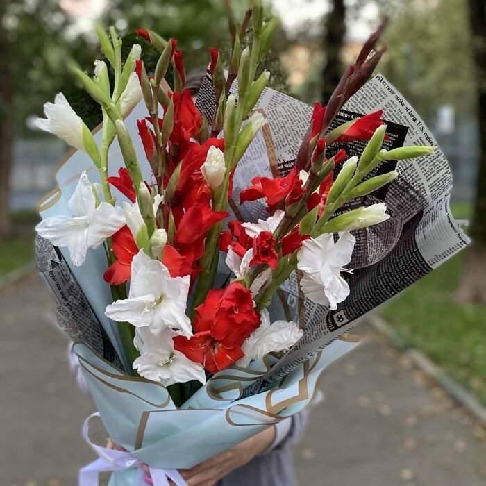 Букет живых цветов из 9 белых и красных гладиолусов, в прекрасной упаковке, от бренда ROZA4U