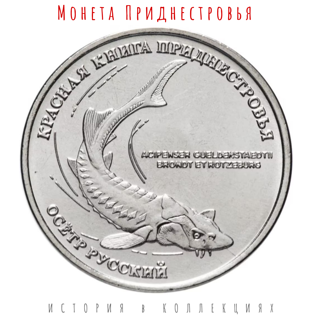 Приднестровье 1 рубль 2018 г Красная книга «Осётр»