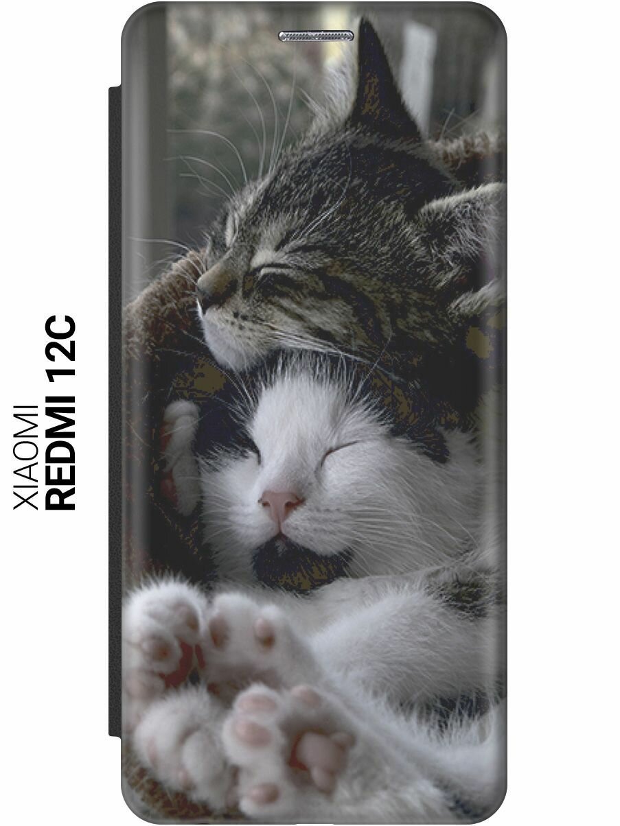Чехол-книжка на Xiaomi Redmi 12C, Сяоми Редми 12С c принтом "Отдыхающие котики" черный
