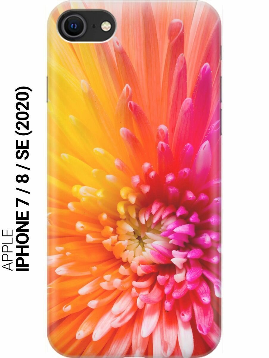Силиконовый чехол на Apple iPhone SE (2022) / SE (2020) / 8 / 7 / Эпл Айфон СЕ 2022 / СЕ 2020 / 8 / 7 с рисунком "Розовая хризантема"