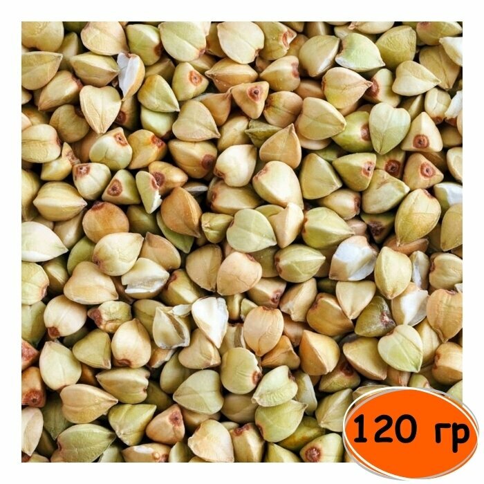 Гречка зеленая (Россия), греча крупа, здоровое питание, без глютена, для каш и проращивания, Вегетарианский продукт, Vegan 120 гр