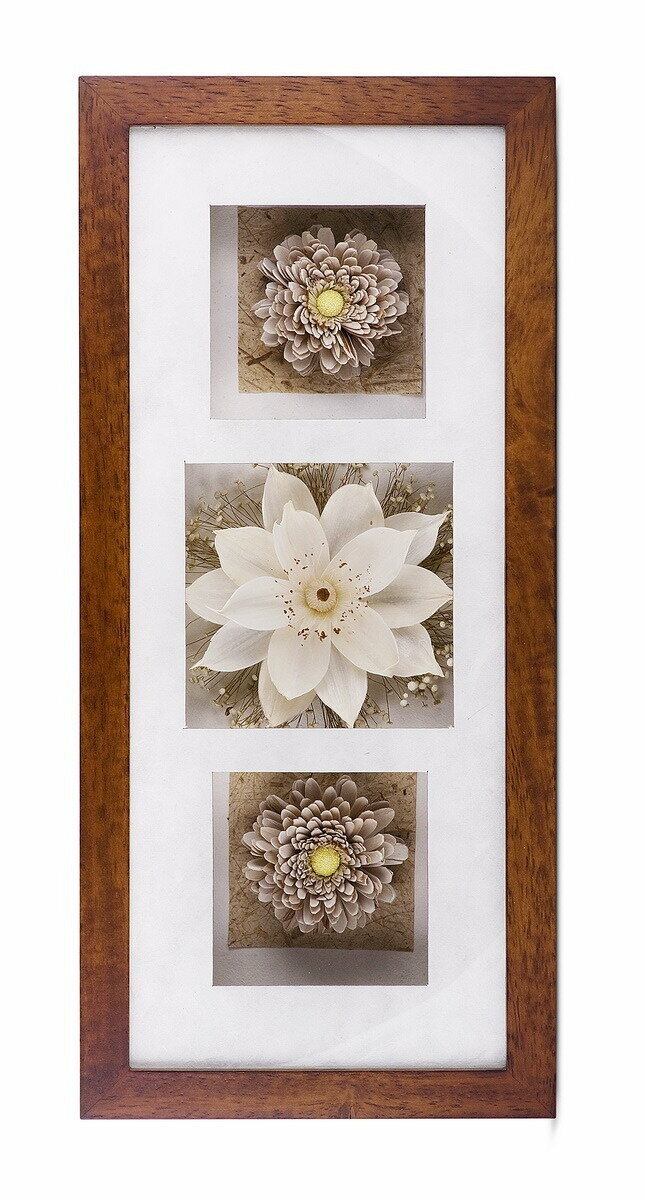 Панно настенное цветы из сухоцветов в деревянной рамке со стеклом