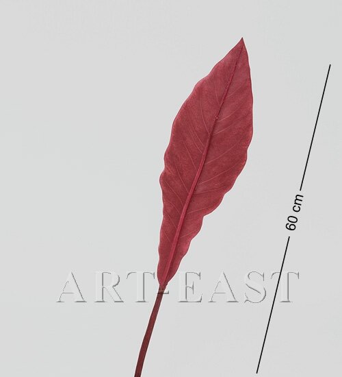 Антуриум TR 605S 113-50783