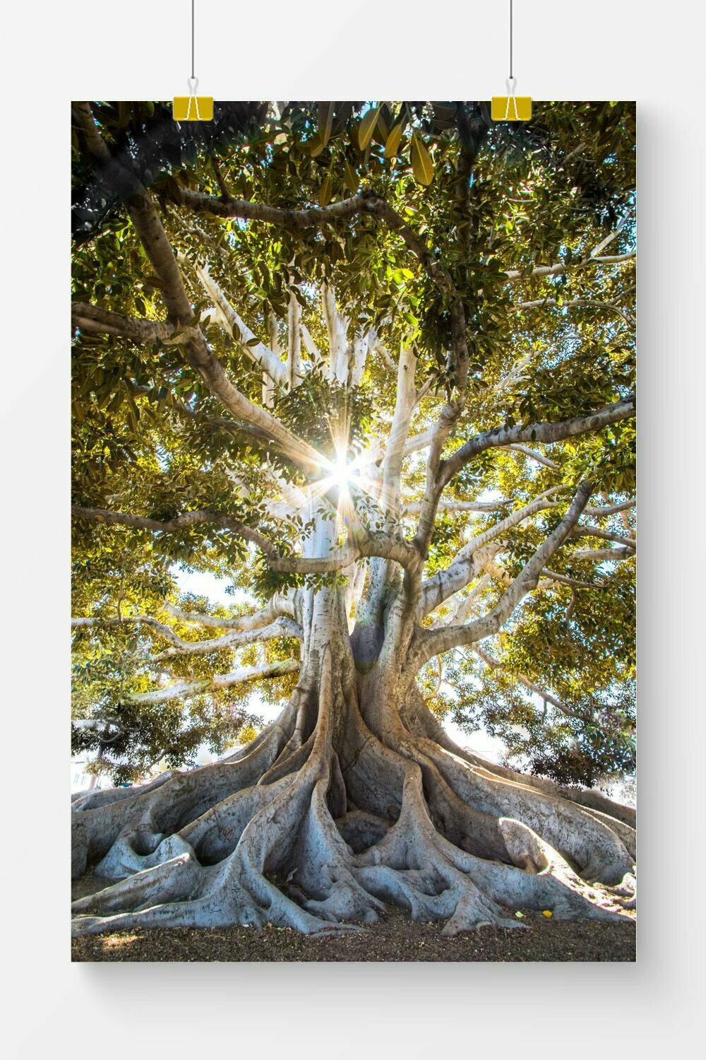Постер для интерьера Postermarkt, 40х50 см в тубусе, постер Природа #59