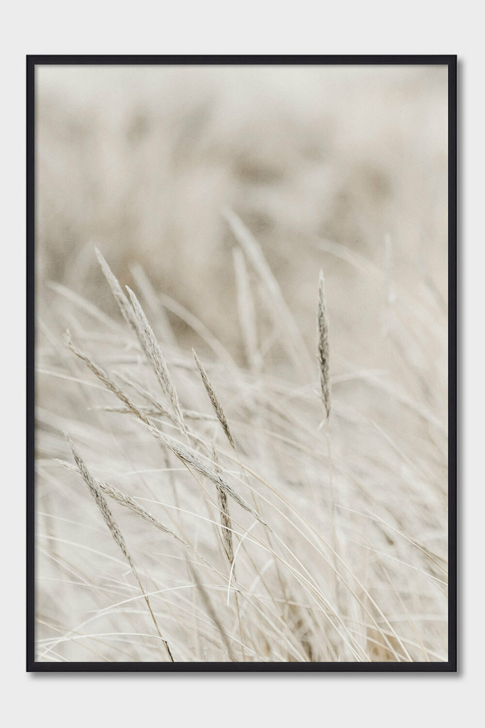 Постер для интерьера Postermarkt Тонкие колосья, 50х70 см в черной рамке