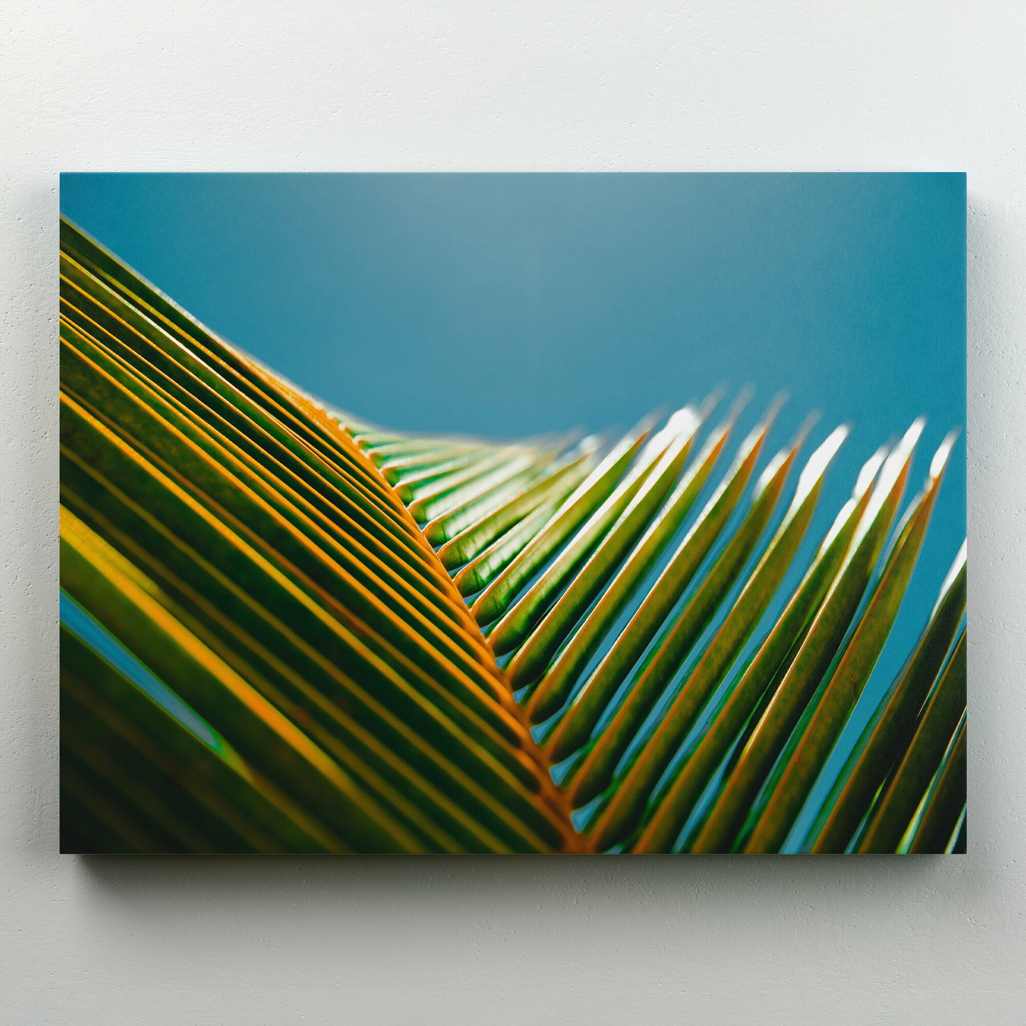 Интерьерная картина на холсте "Южная пальма" растения, размер 30x22 см