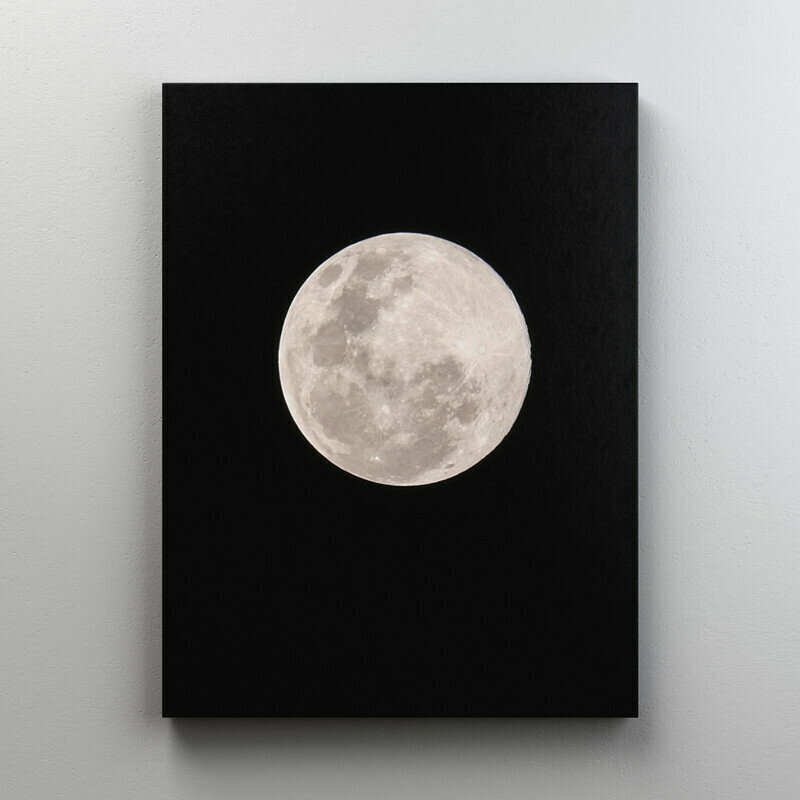 Интерьерная картина на холсте "Полнолуние во тьме" размер 45x60 см
