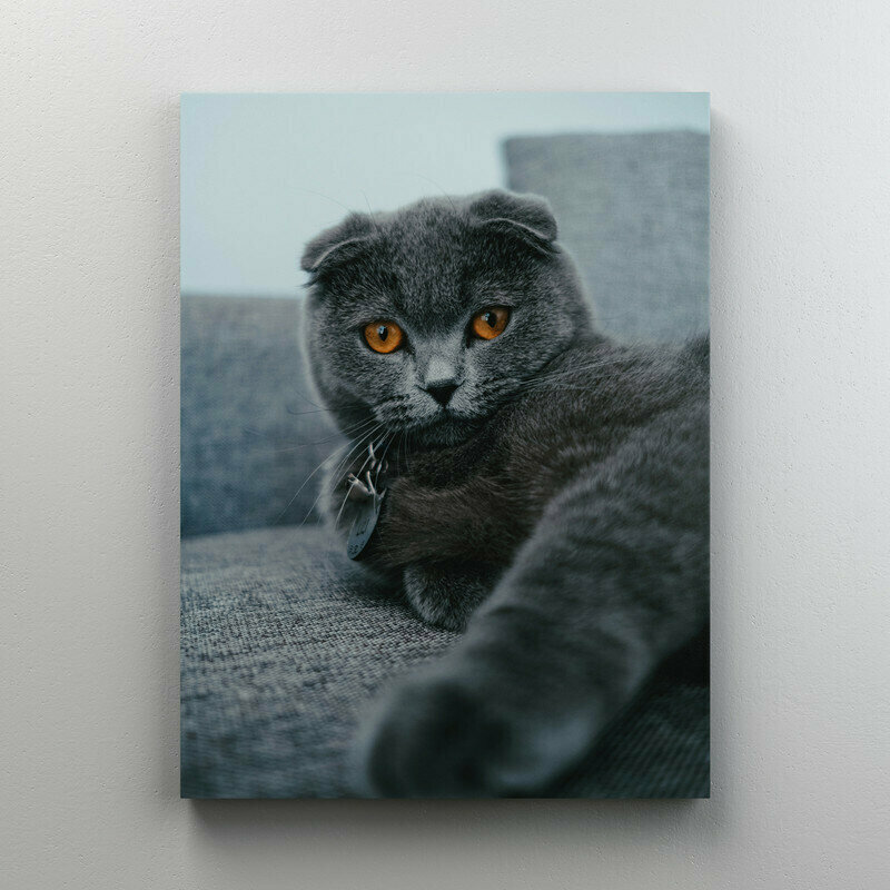 Интерьерная картина на холсте "Пушистый серый британец" размер 30x40 см