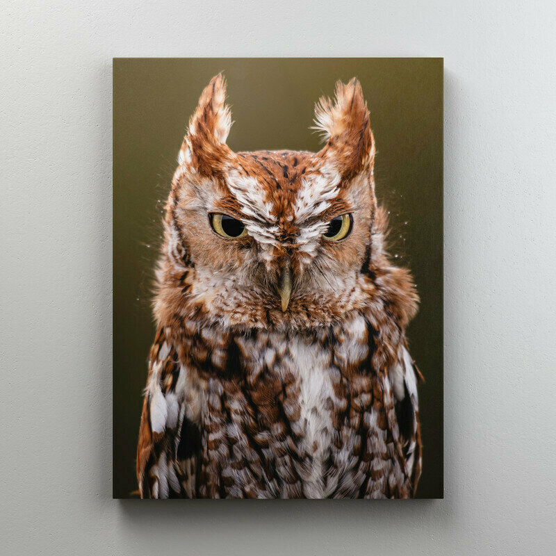 Интерьерная картина на холсте "Сова на охоте" размер 22x30 см