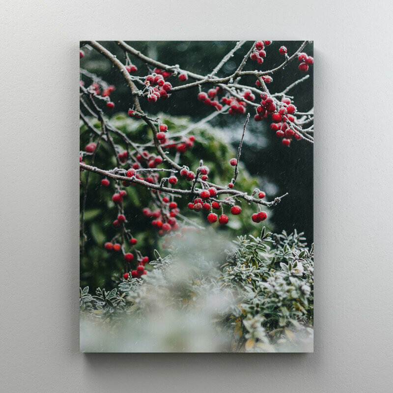 Интерьерная картина на холсте "Красная рябина в изморози", размер 30x40 см