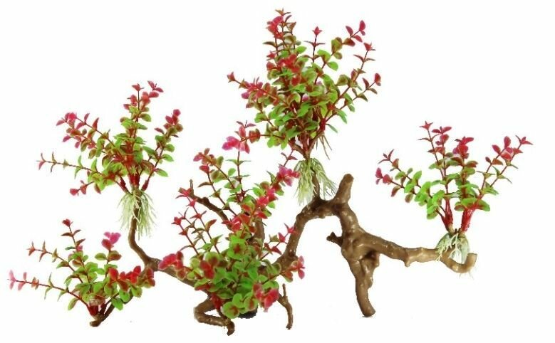 Fauna International Декорация для аквариума Растение на коряге №36, 35 см х 10 см х 20 см