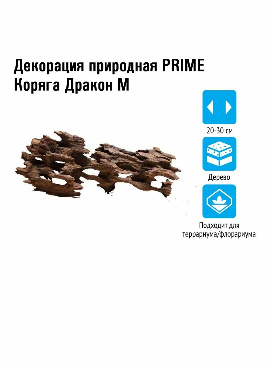 Коряга натуральная PRIME Дракон M 20-30 см