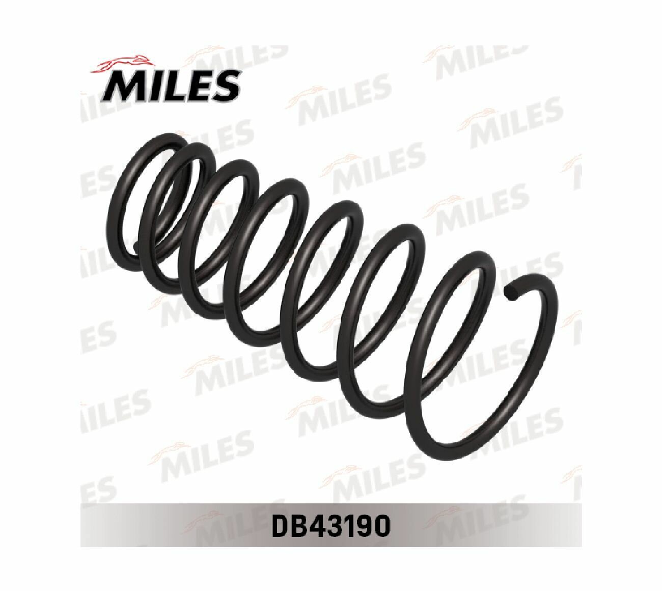 Пружина подвески MILES DB43190, для Hyundai Matrix, задняя