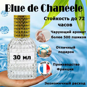 Масляные духи Blue de Chaneele, мужской аромат, флакон спрей 30 мл.