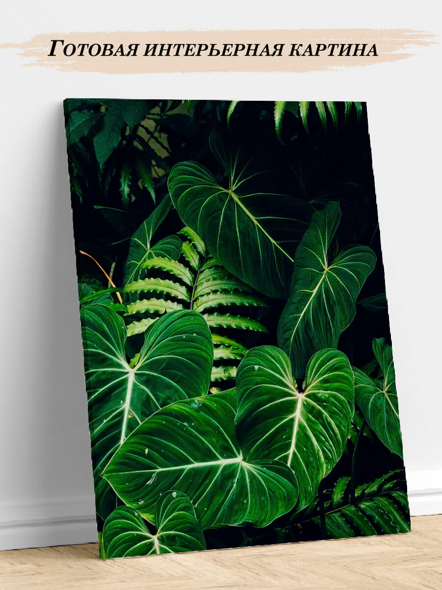 Картины для интерьера 50х70 Зелень листья джунгли