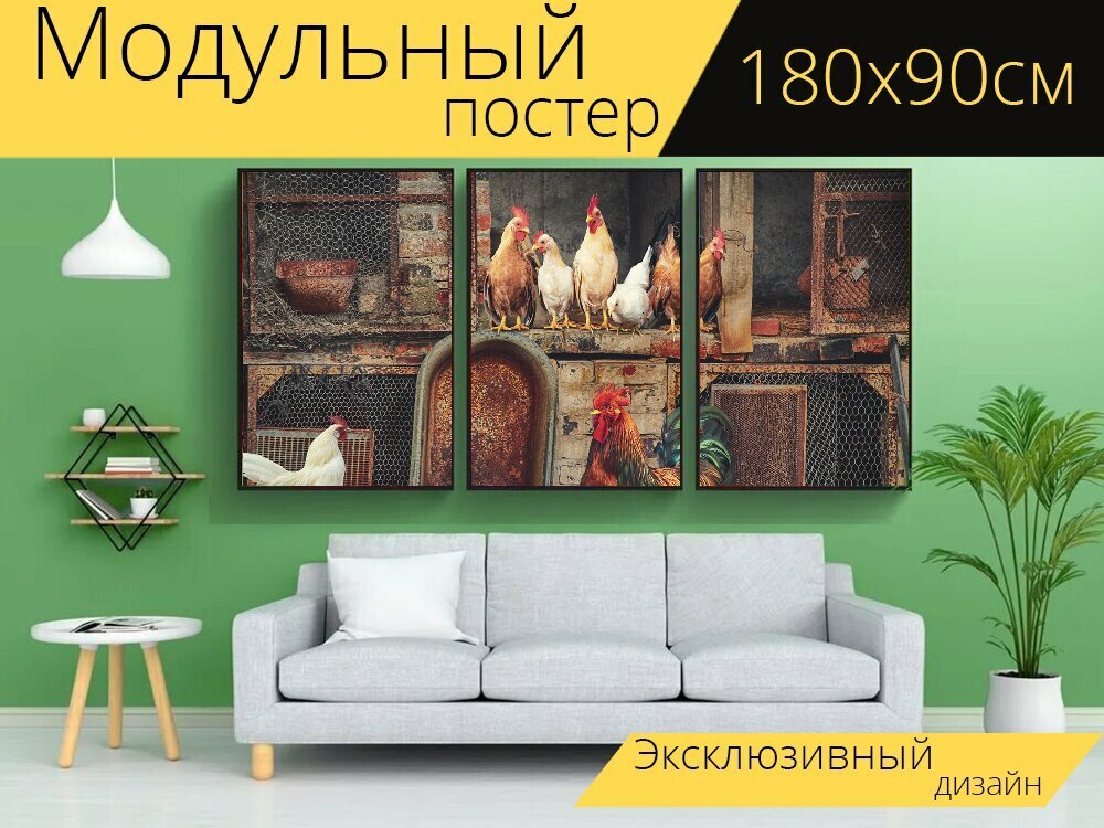 Модульный постер "Петухи, куры, курятник" 180 x 90 см. для интерьера