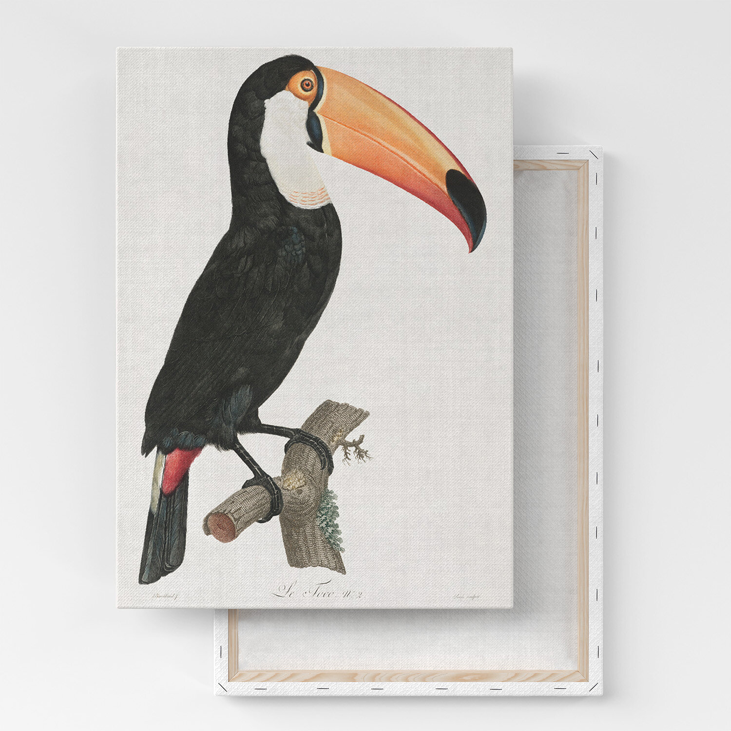 Картина на холсте, репродукция / Des Oiseaux de Paradis / Размер 60 x 80 см