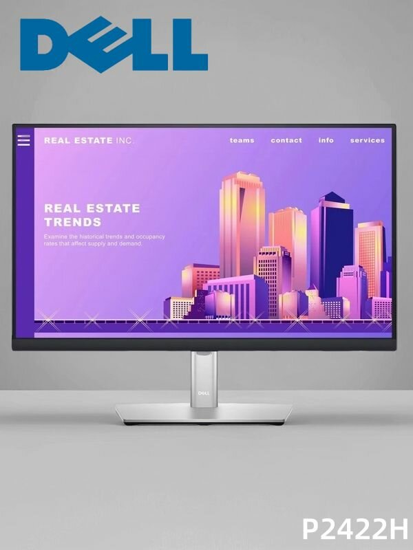 Dell 23.8" Монитор P2422H, черный, серебристый
