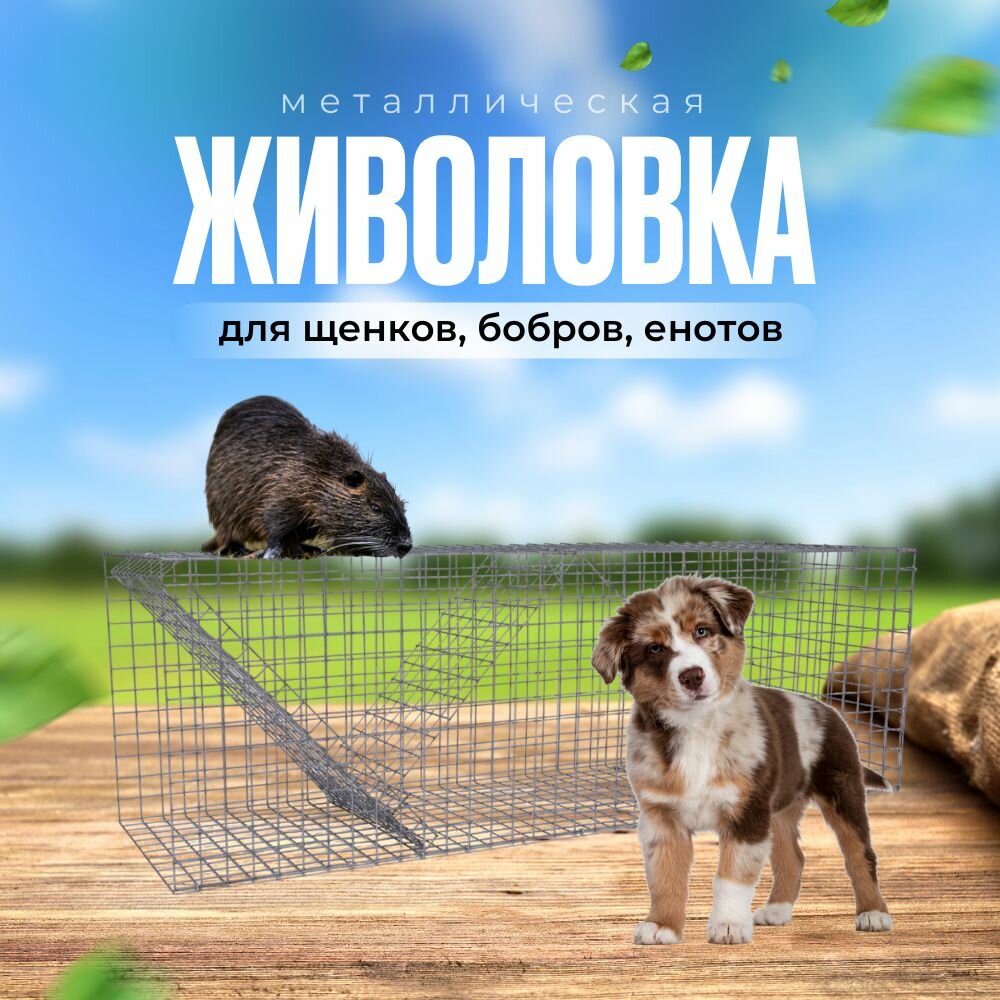 Котоловка 33*30*90 см