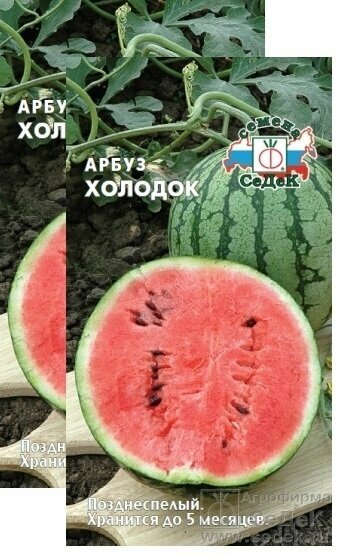 Семена арбуза Холодок СеДеК, однолетние, лежкие, 2 упаковки по 1 г