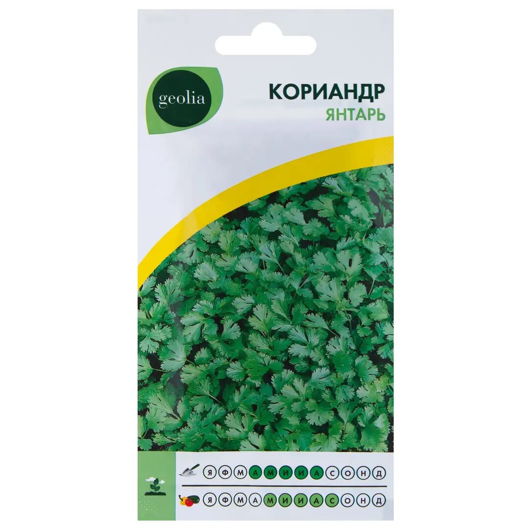Семена Кориандр Geolia «Янтарь»